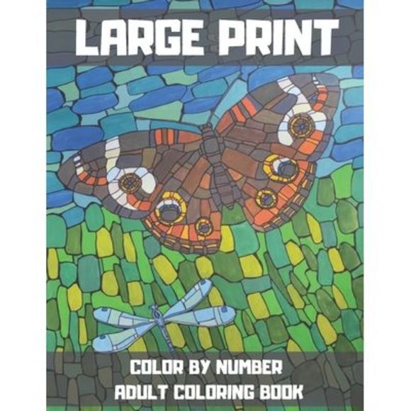 Blue Sea Publishing House | Other | Large Print Color By Number Adult ...